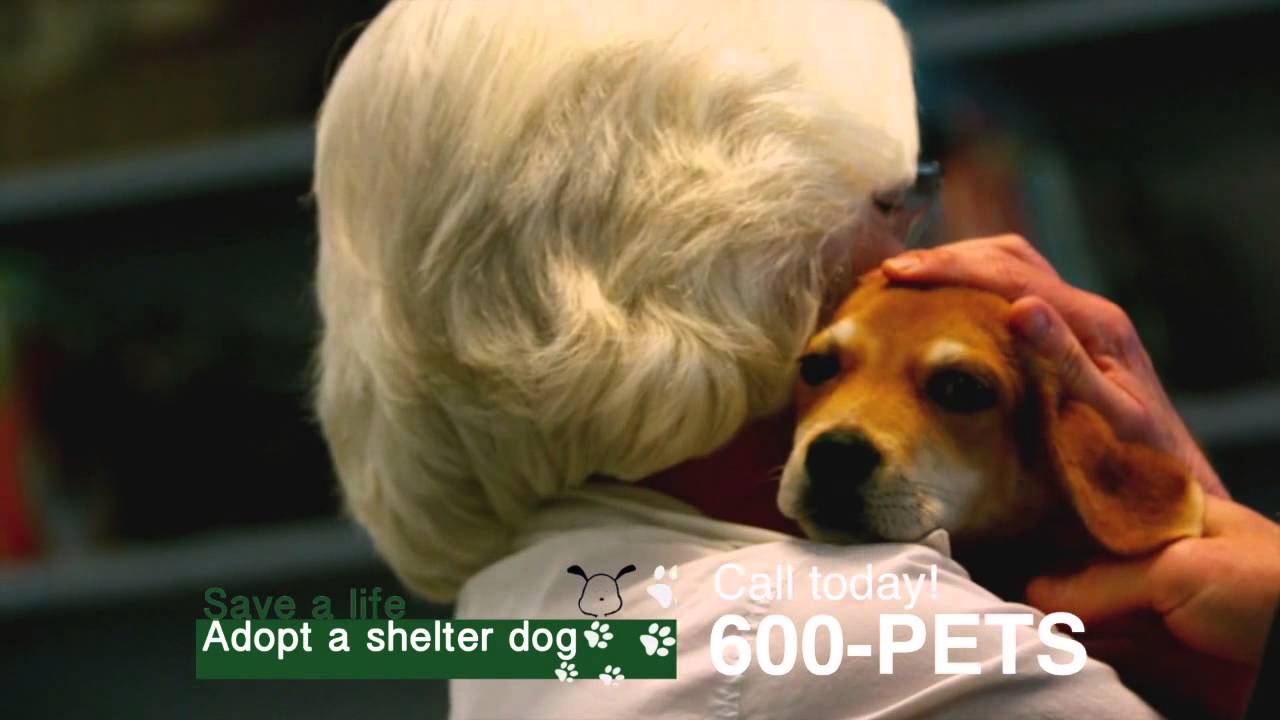 California Animal Control 760 W Nielsen Ave Fresno CA 93706 - YouTube