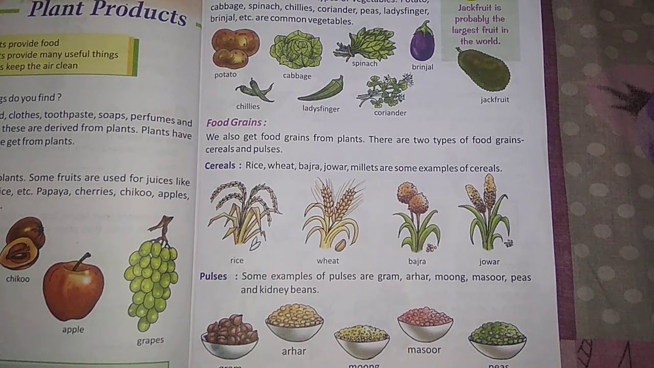 Scince Class 2 lesson 2 page no .13 - YouTube