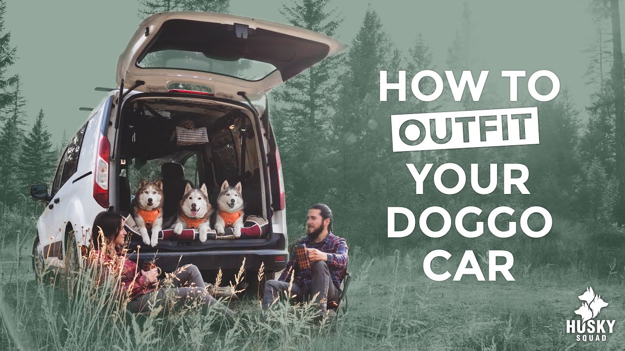 OUTFIT Your Car For Your Dog - SO COMFY! DOGGO LIFE 🐾 - YouTube