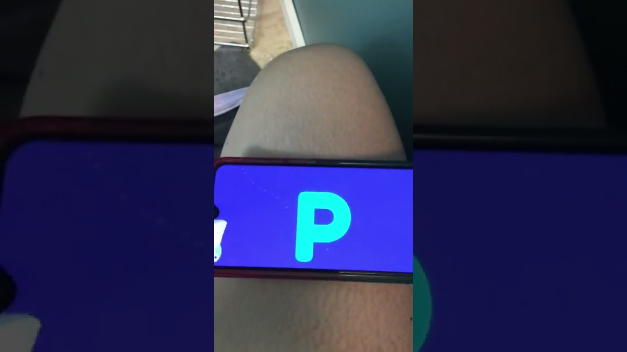 The Pp Song - YouTube