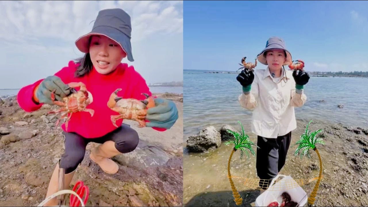 Chinese beach crab Crab catching video #crab #fishing #catching # ...