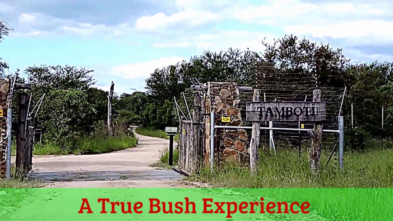 Visit Tamboti Tented Camp - Kruger Park - Safarihub - YouTube