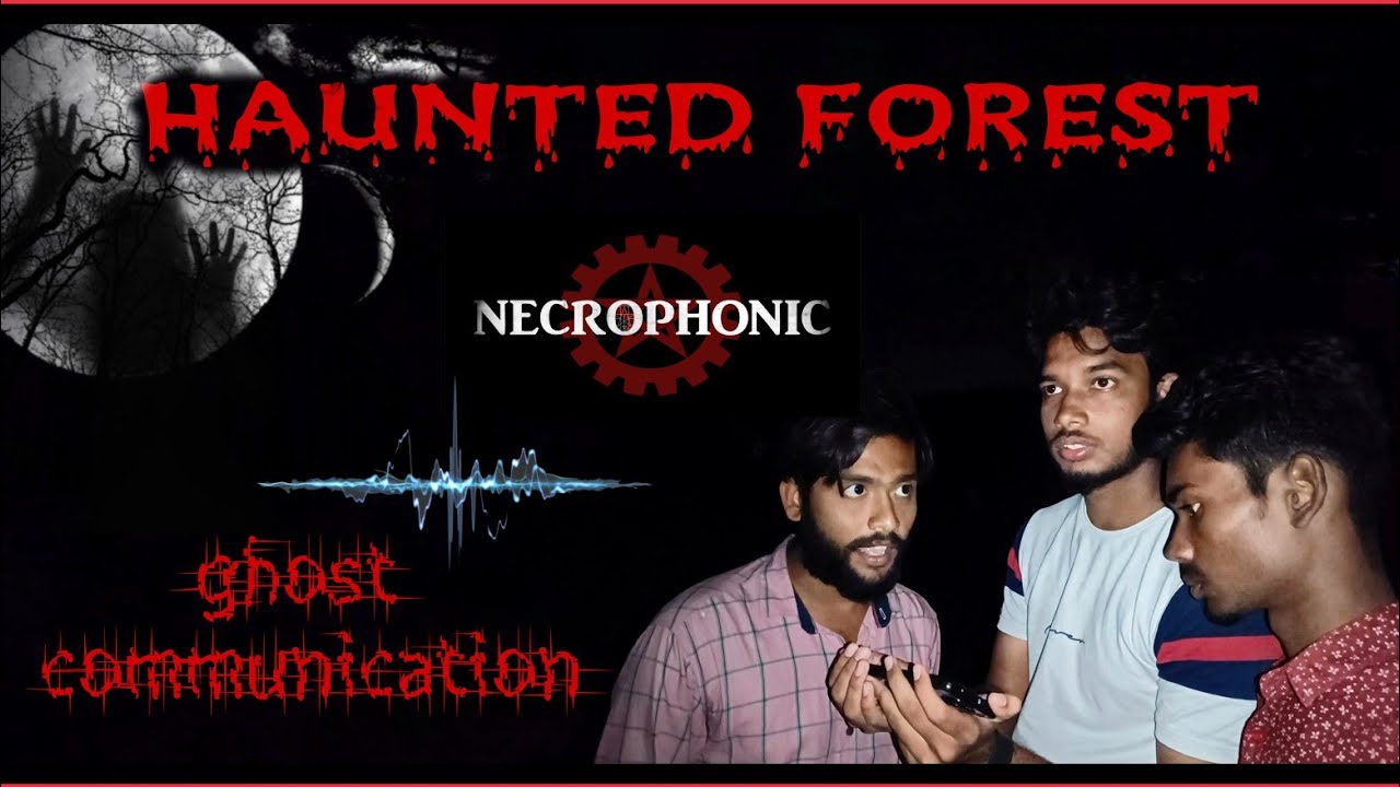 GHOST COMMUNICATION IN HAUNTED FOREST - YouTube