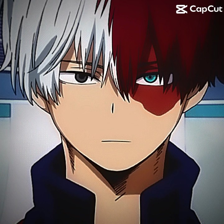 My first MHA edit with moving clips should I stay with pictures?#shoto ...