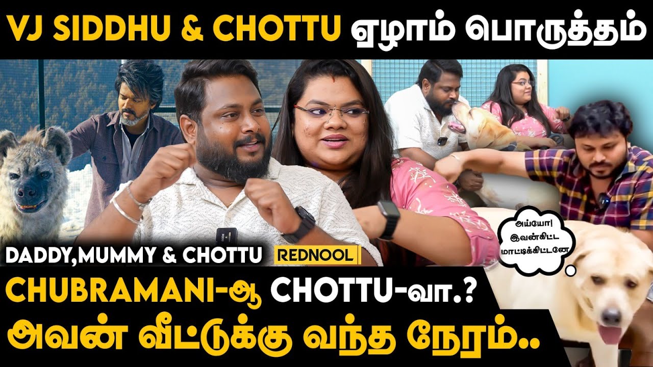 VJ Siddhu-வும் இவனும் "அண்ணன் தம்பி" மாதிரி - @Mr_Chottu Dog அலப்பறைகள் ...
