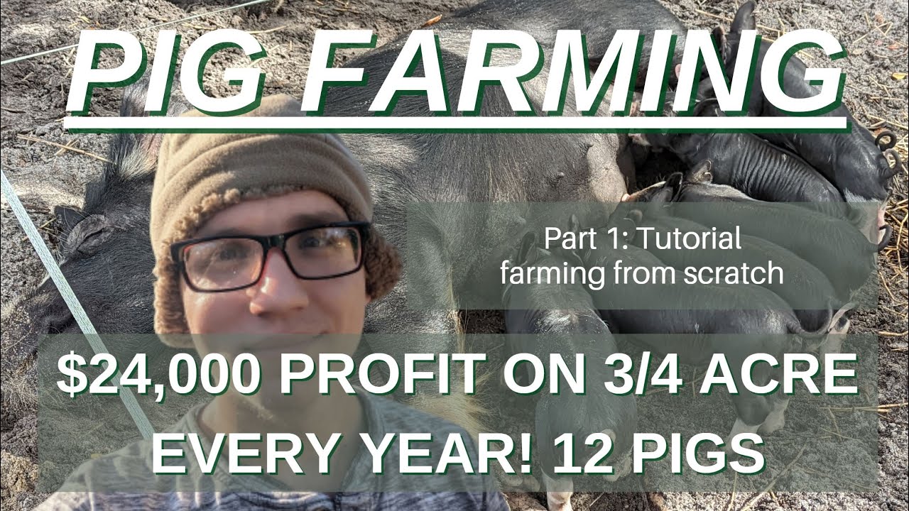 Making $27k a Year from $3500 and Under a Acre Farming Pigs Profit ...