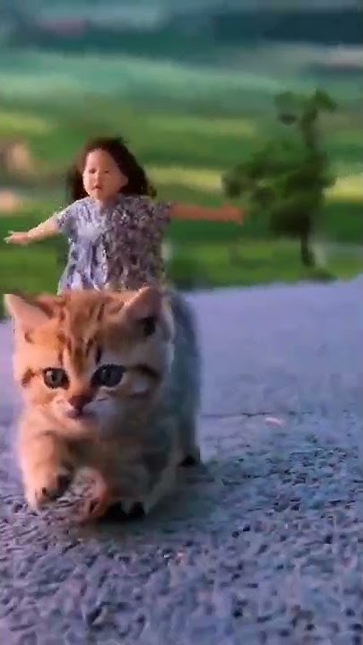 Cute_Cat_%F0%9F%92%9EG___%23shorts_%23viral_%23funny_%23baby ...