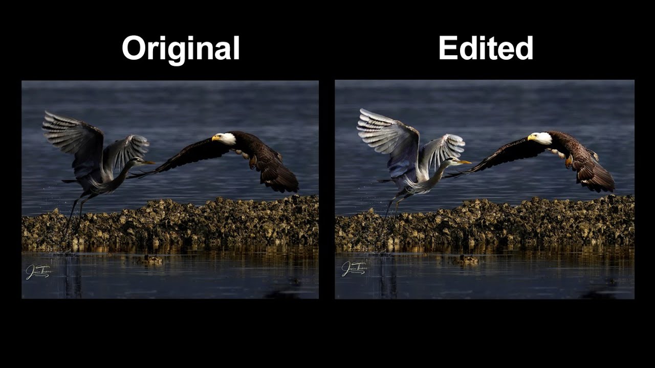 Fix High Contrast • Two Birds at Sea - YouTube