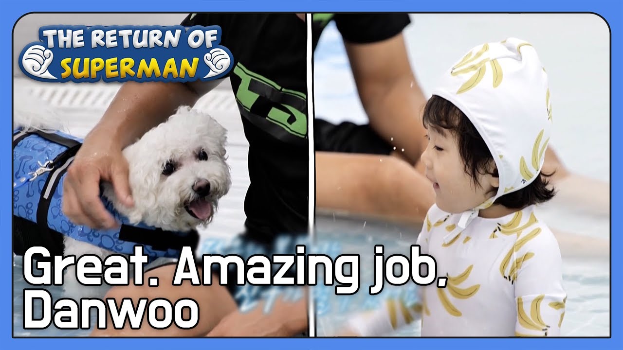 Great. Amazing job, Danwoo [The Return of Superman : Ep.438-3] | KBS ...