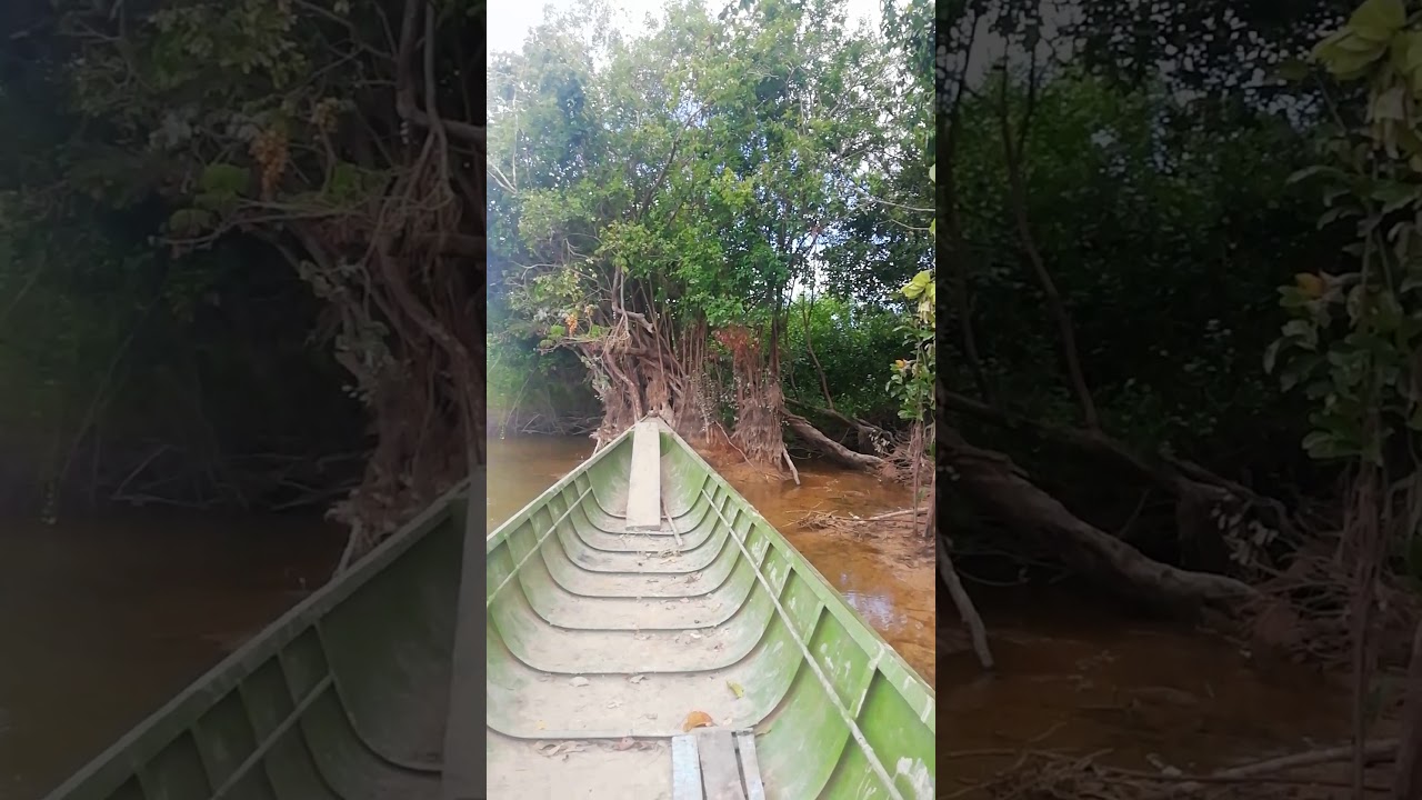 Río vichada 🌍 - YouTube