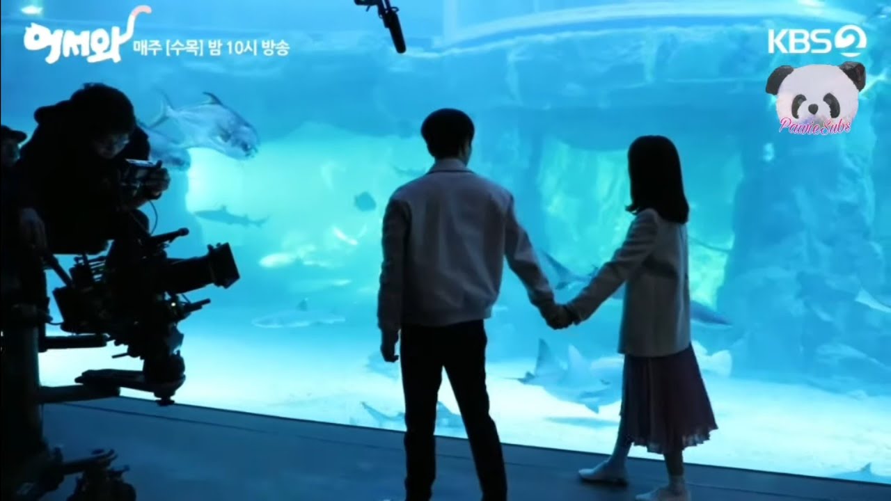 [ENG SUBS] Hongjo ♡ SolA's Aquarium Date - Meow, The Secret Boy Behind ...