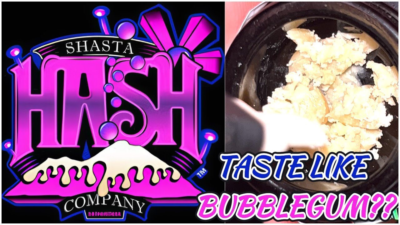 BLACK BUBBLEGUM HORCHATA - SHASTA HASH CO - DOES IT SESH? OR DOES IT ...