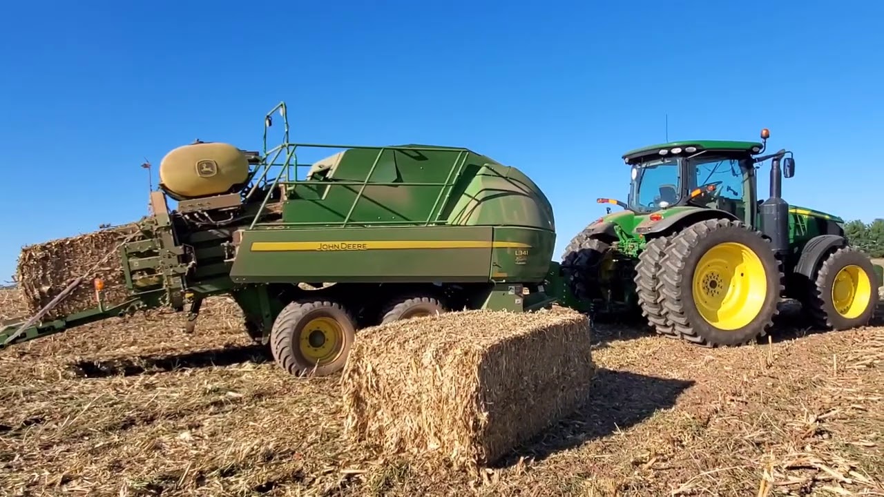The camera crew, corn fodder Bales make good bedding - YouTube