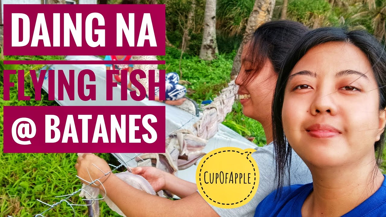 Daing na FLYING FISH in Batanes - YouTube