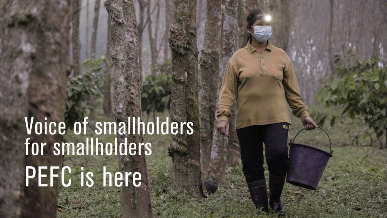Voice of smallholders for smallholders - PEFC is here - YouTube