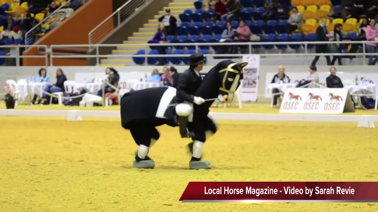 Qld Festival of Dressage - Harold the Horse - Freestyle - YouTube