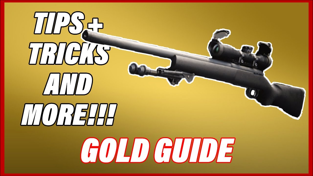 Pellington 703 Gold Guide - Best Loadout , Tips , Tricks and More ...