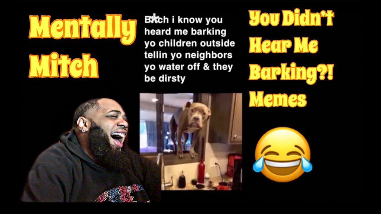 Mentally Mitch - You Didn't Hear Me Barking?! Memes | REACTION 😂 - YouTube