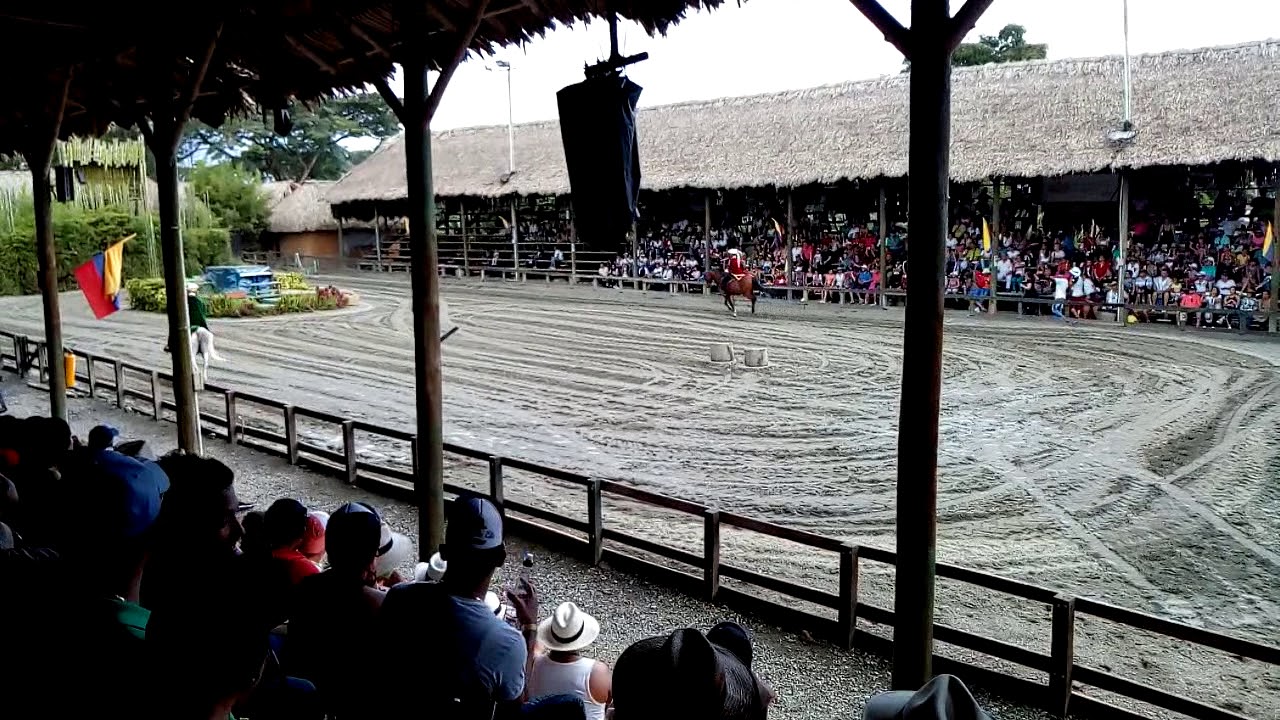 Shows de Tipos de Caballos 1 - Panaca Eje Cafetero - YouTube