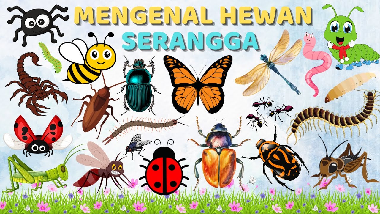 BELAJAR MENGENAL NAMA-NAMA HEWAN SERANGGA BAHASA INDONESIA & BAHASA ...
