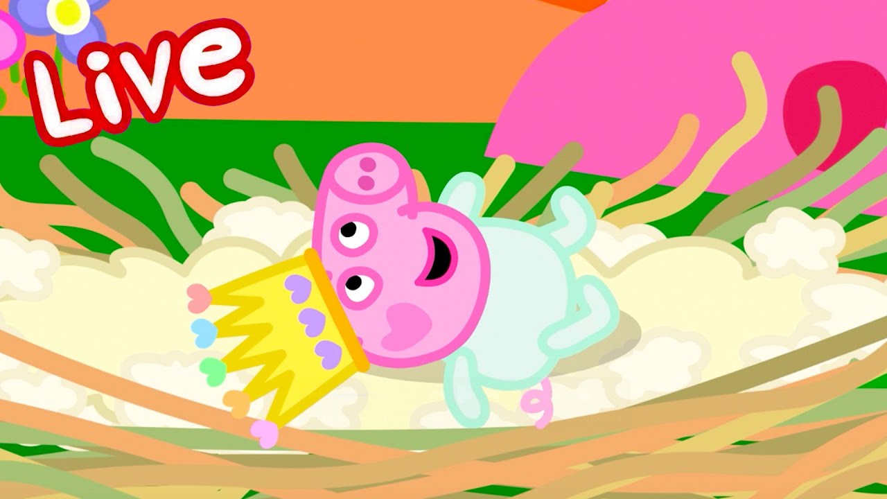 Peppa Pig NEW BABY EVIE Episodes LIVE 🍼 Evie Pig's BEST Moments 🥹 Watch ...