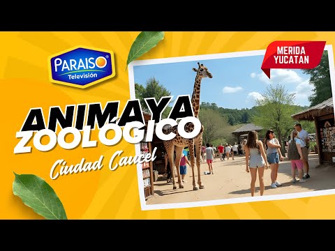 PARQUE ZOOLOGICO ANIMAYA en MÉRIDA YUCATÁN - Recorrido - Virtual tour