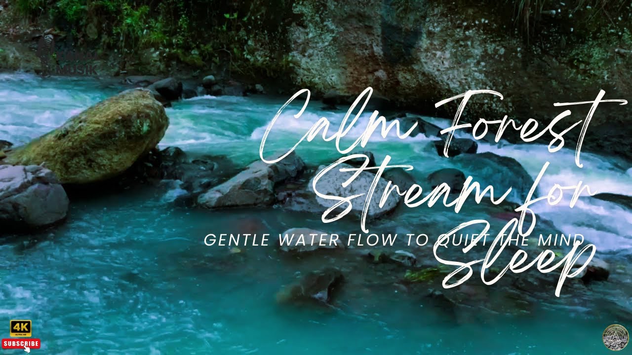 “Calm Forest Stream for Sleep – Gentle Water Flow to Quiet the Mind ...