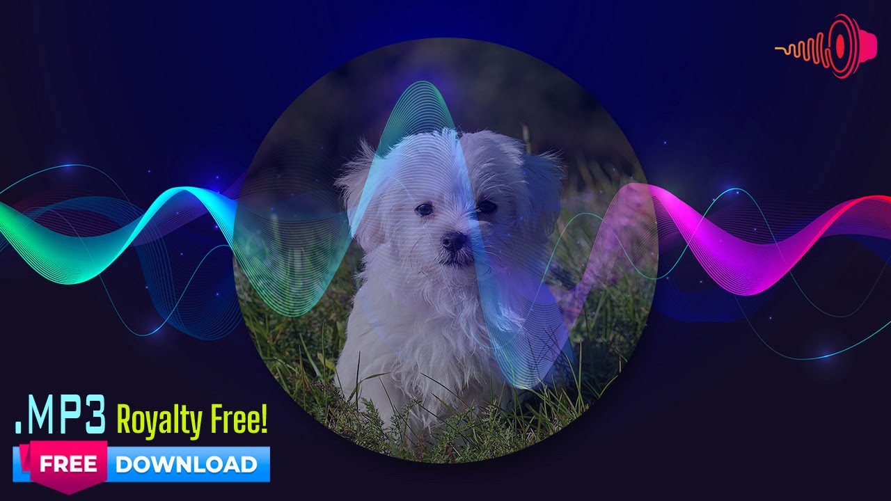 Small Dog Barking Noise Sound Effect Audio - YouTube