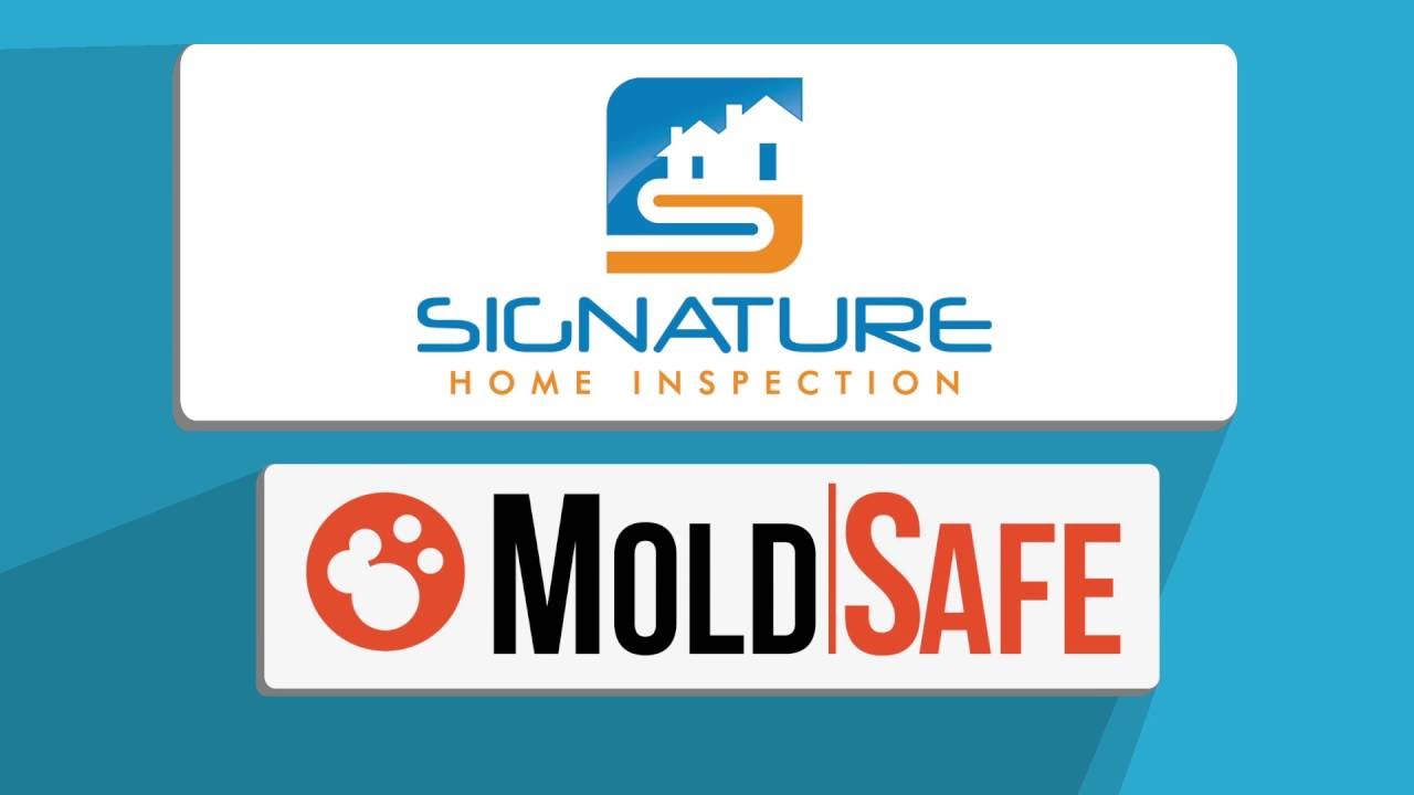 Signature Home Inspection MoldSafe - YouTube