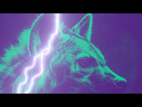 Beecha "Freestyle" - YouTube