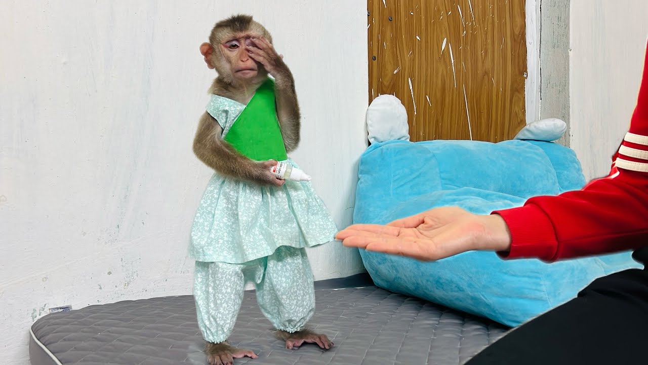 Loving mother care helps monkey Tina recover quickly and get well - YouTube