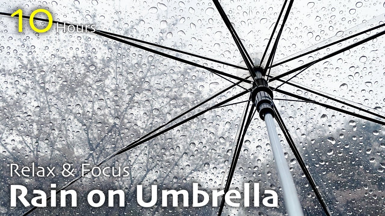 Rain Sounds on Umbrella 10 Hours - 雨の音 傘 chuva lluvia дождя 빗소리 hujan ...