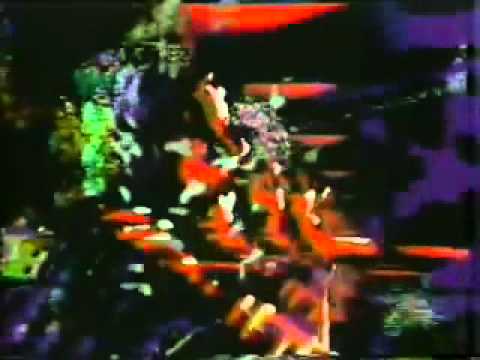 Future Shark by Bonnington Truce - YouTube