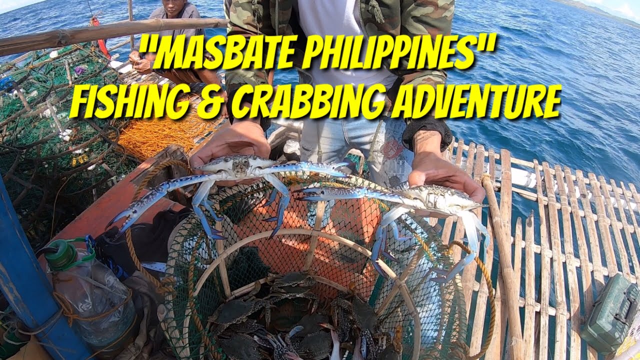 AWESOME !! HOW TO CATCH BLUE CRABS IN PHILIPPINES, CATCH&COOK INSIDE ...
