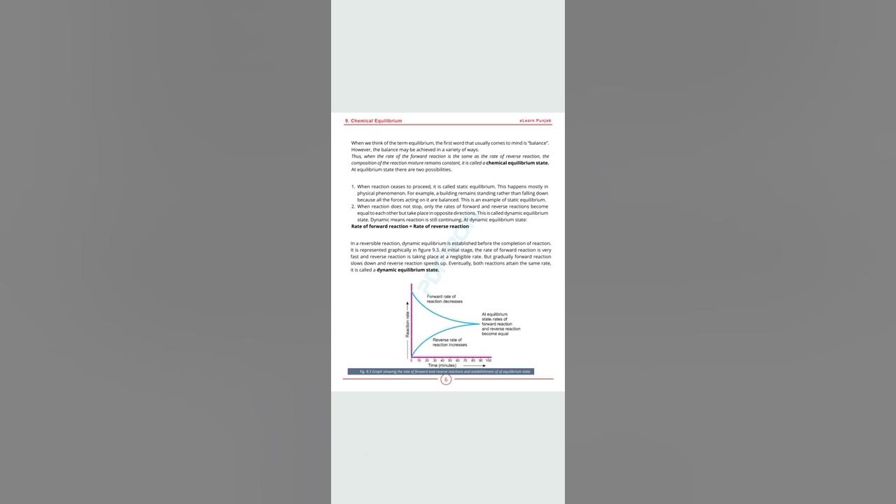 What is dynamic equilibrium|| official tech channel - YouTube