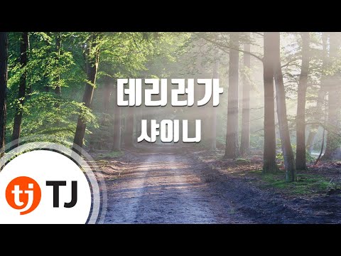 [TJ노래방] 데리러가 - 샤이니 / TJ Karaoke