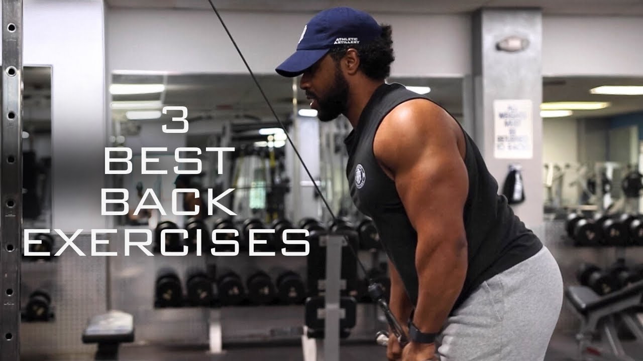 3 Best Back Exercises To Create A Muscular Back - YouTube