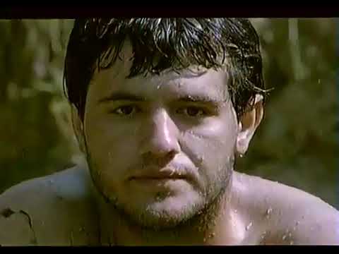 Berlin je pao-partizanski film