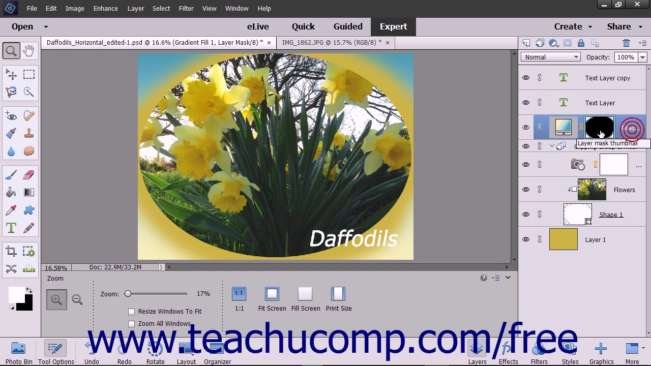 Photoshop Elements 2018 Tutorial Duplicating Layers Adobe Training ...