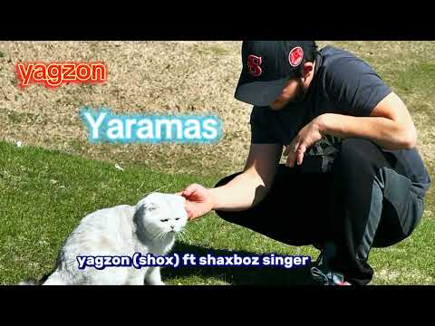 Yagzon (Shox) ft Shaxboz singer - yaramas👿