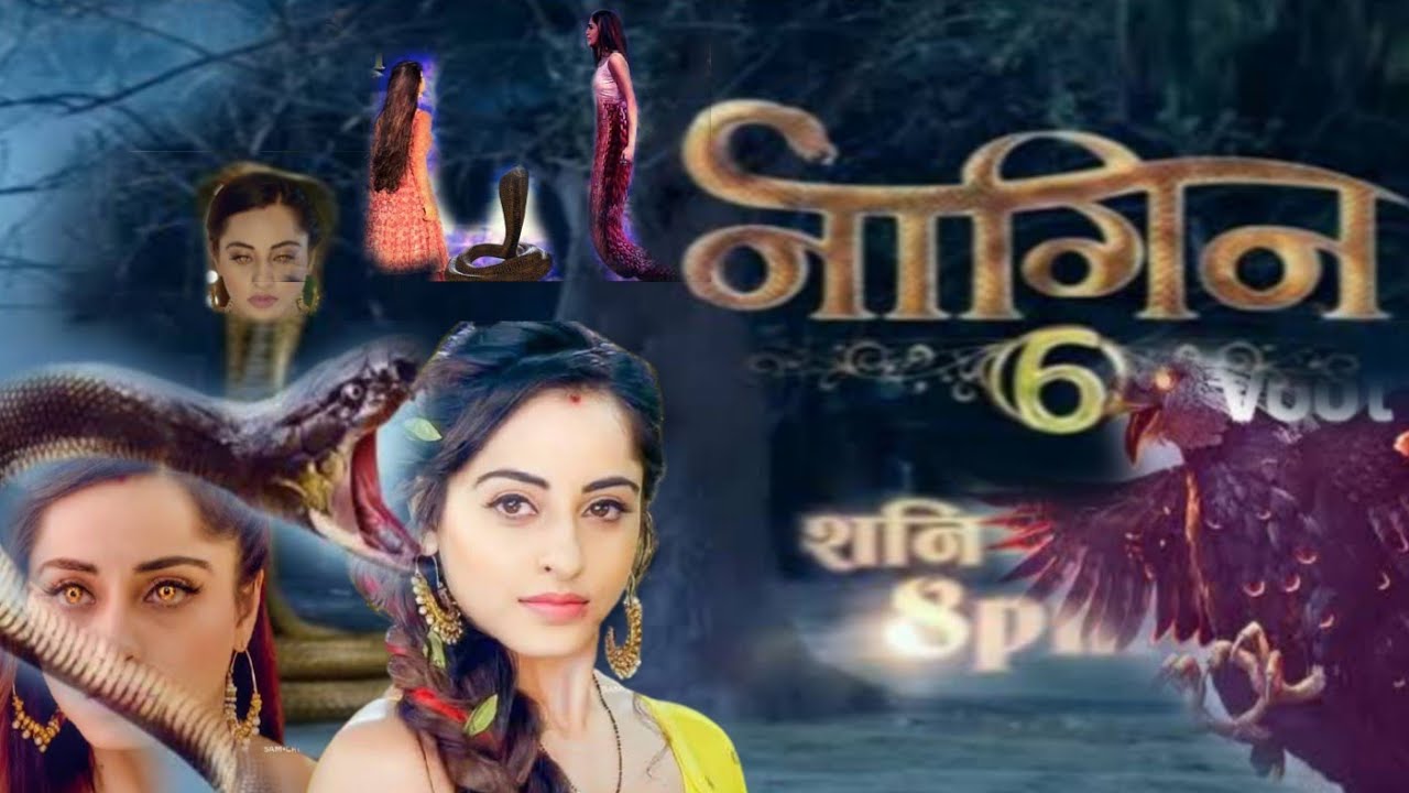 Naagin Season 6 Coming Soon On Colors TV | Full Details Naagin 6 ...