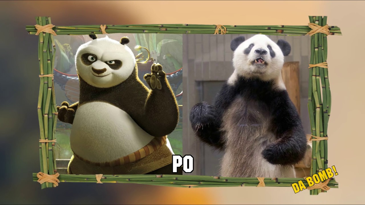 Kung Fu Panda characters in real life - YouTube