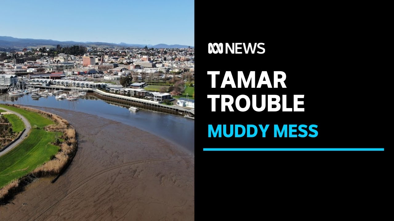 Tasmania's Tamar River can look like a 'muddy mess'. Locals say it's ...
