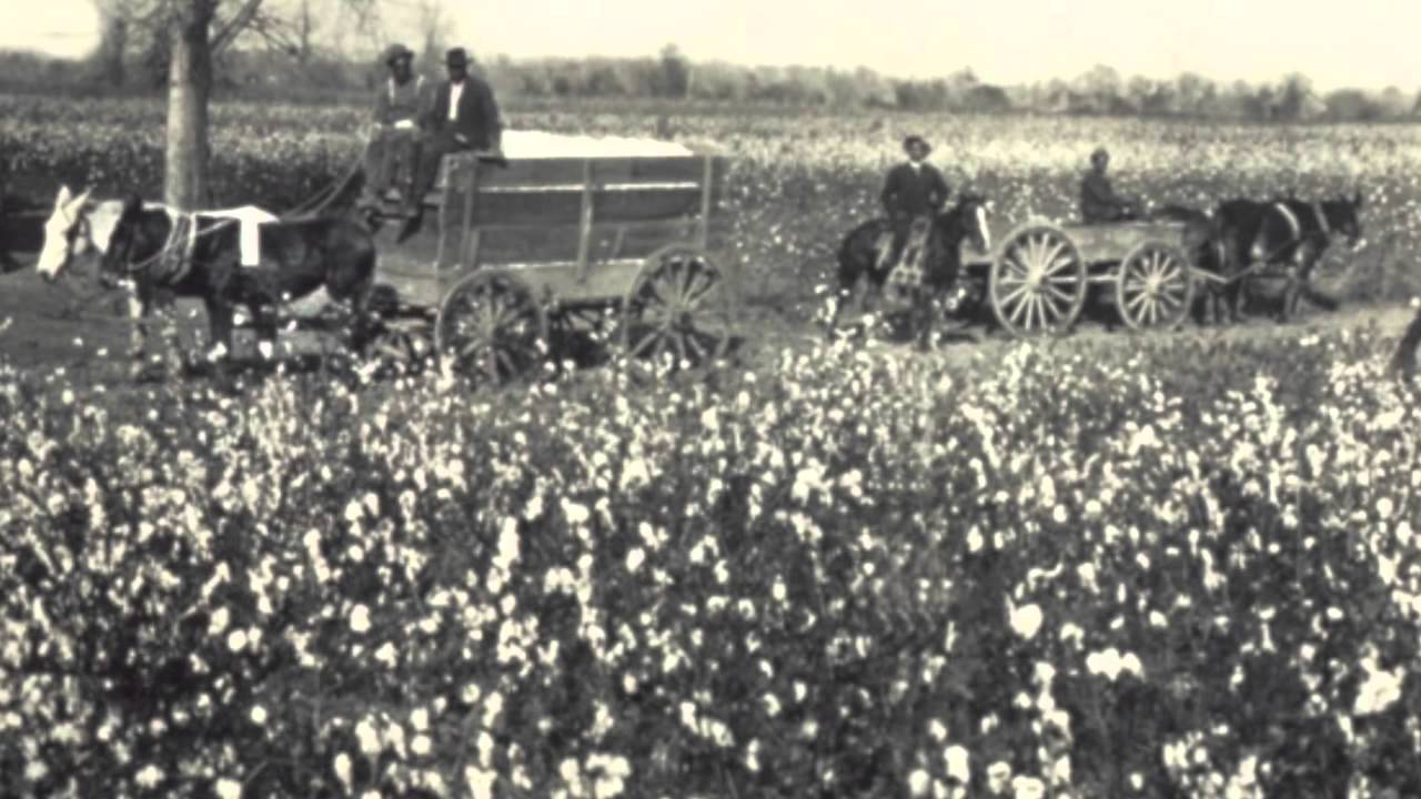 History of Cotton in Georgia - YouTube