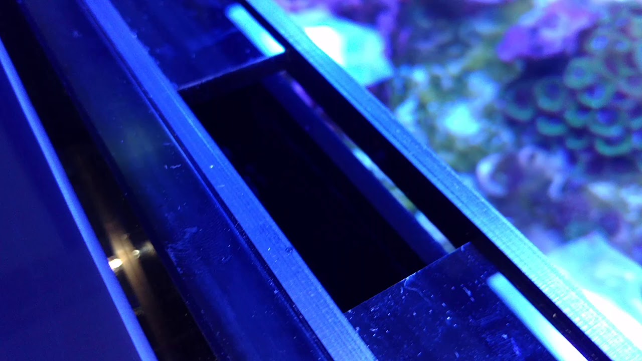 Exotic Marine Overflow - YouTube