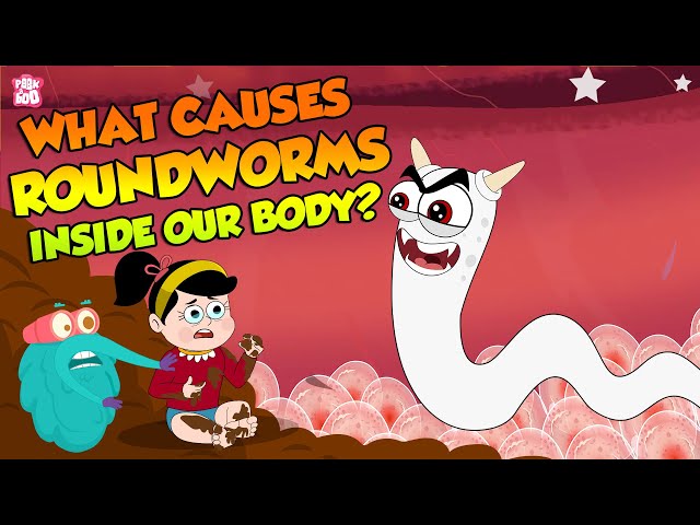 Roundworms In Humans