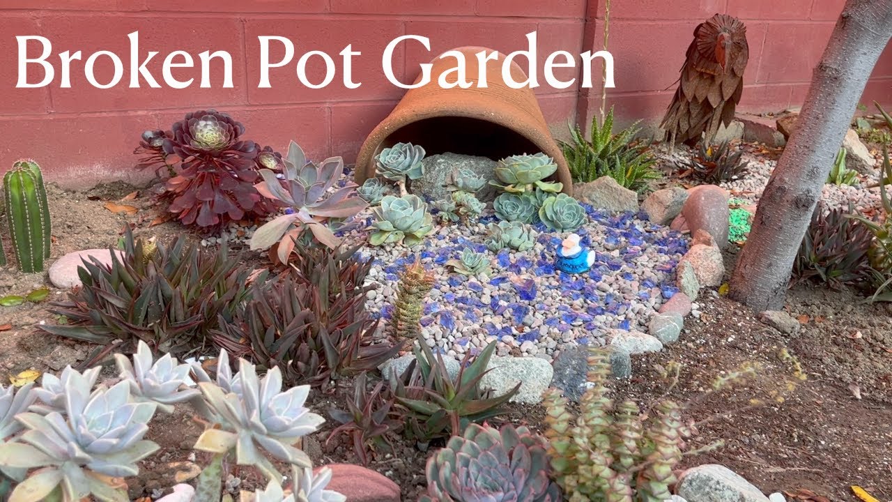 Reworking my Broken Pot Garden Design * Succulents and Cacti Outdoor ...