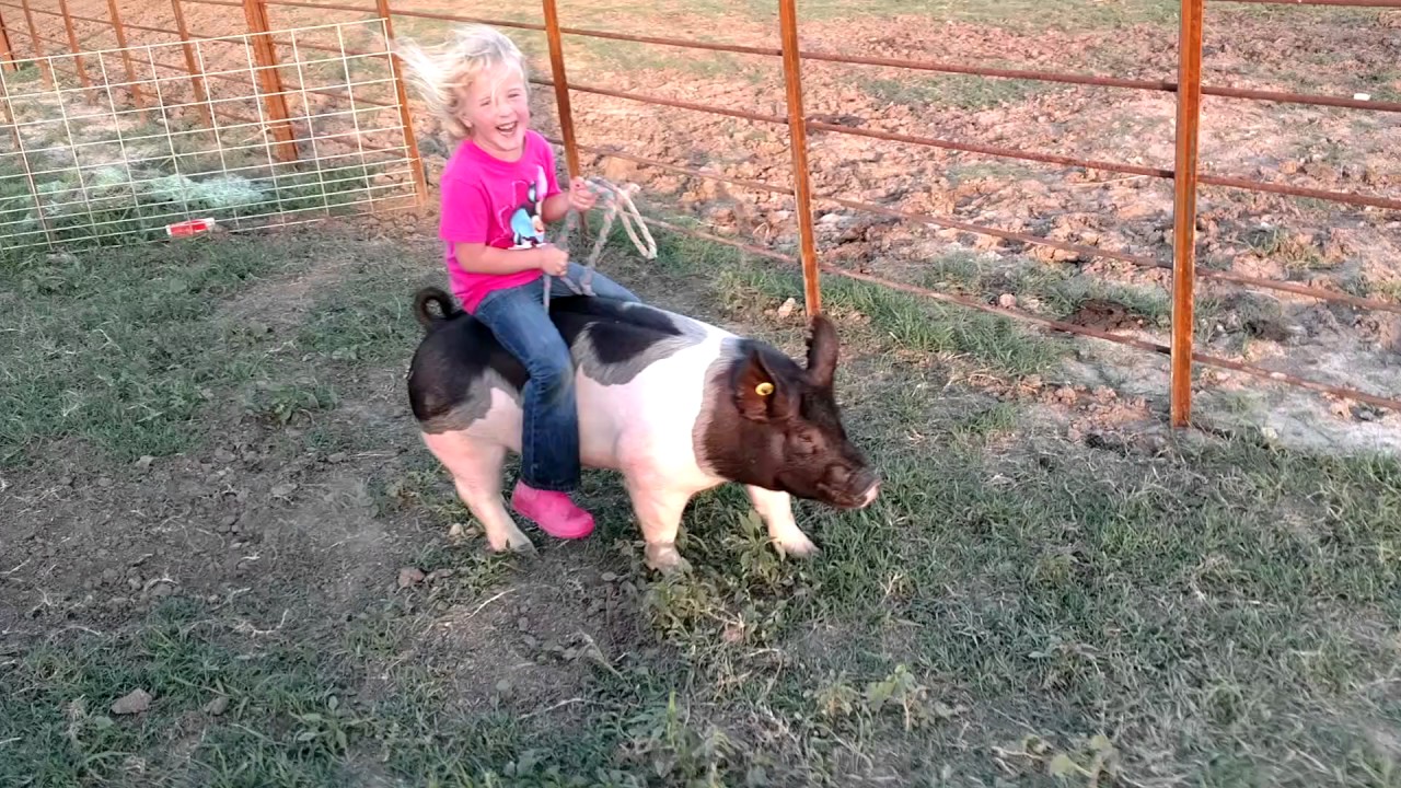 Roz pig riding - YouTube