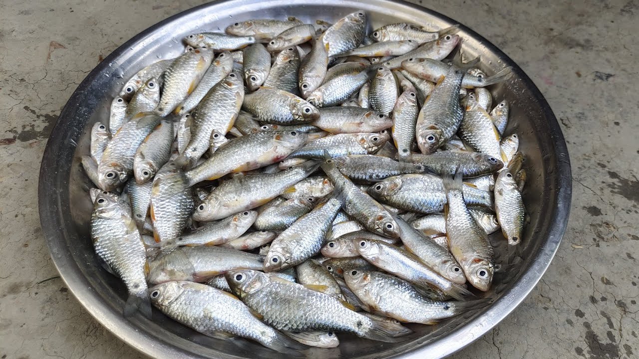 Pothiya Machhhli Kaise banaye || Machhhli banane ka sabse asan tarika ...