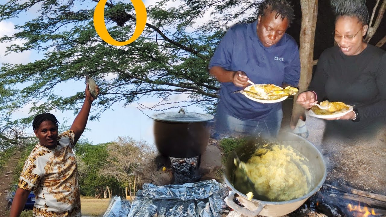 COOKING UNDER A BEE HIVE😱🙆‍♂️ ‼️CURRY ROAST FISH | ROAST LOBSTER | TURN ...